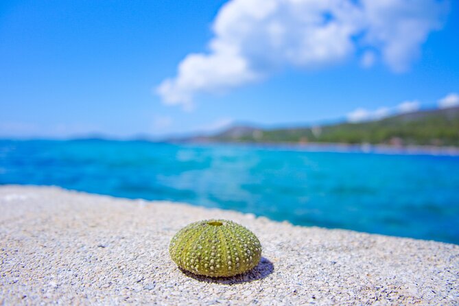 Private Half Day Tour | Food & Drinks | Vrgada - Frequently Asked Questions