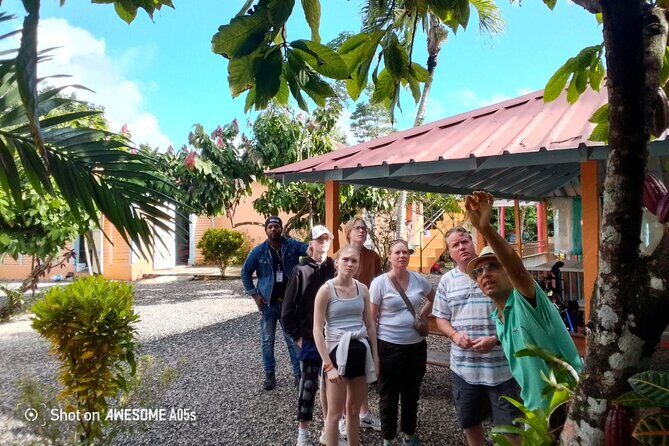 Private Half Day Tour in Dominican Republic with Local Guide - A Deep Dive into the Experience