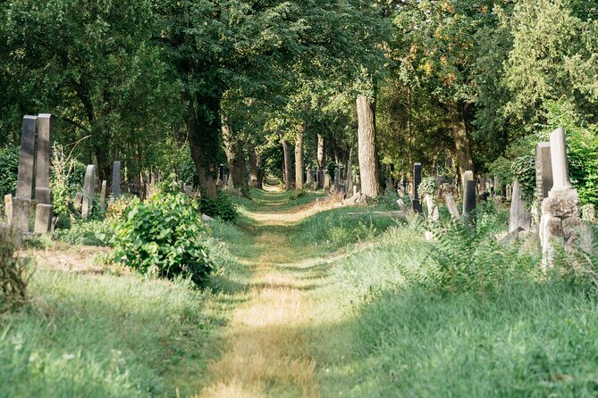 Private Half-Day Tour in Jewish Vienna - Who Would Love This Tour?