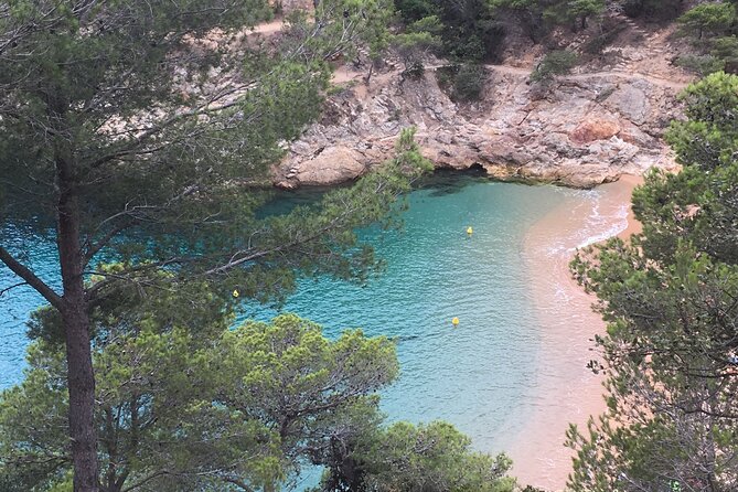 Private Half Day Tour in Monserrat With Driver - Tour Experience and Highlights