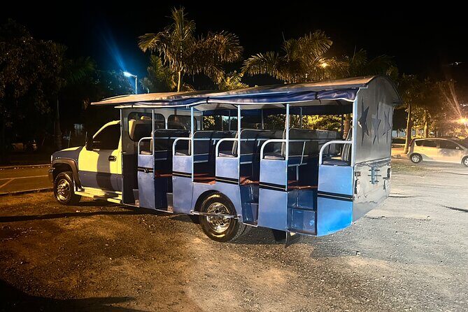 Private Half Day Tour in St. Thomas Virgin Islands with Guide - Practical Tips for Booking