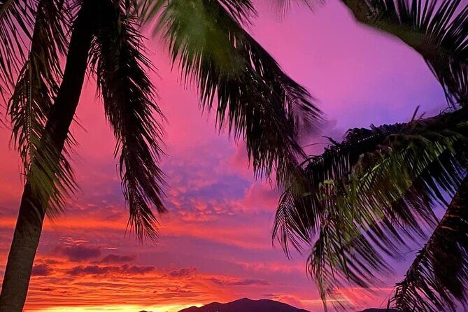 Private Half Day Tour in St. Thomas Virgin Islands with Guide - The Sum Up