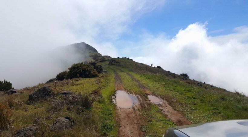 Private Half-Day Tour of Funchal Sky to Sea - The Sum Up