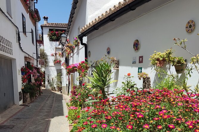 Private half-day tour of Ronda and the White Villages with native - Practical Details and Value