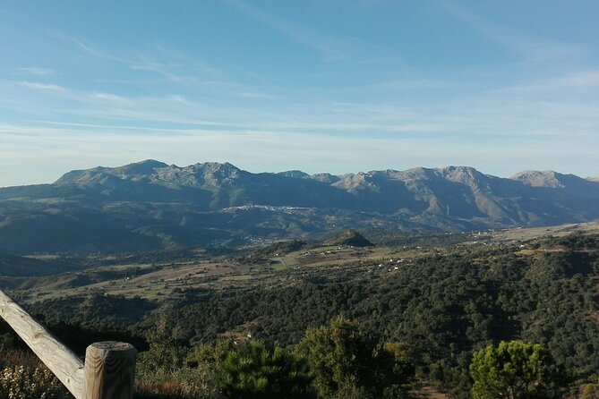 Private half-day tour of Ronda and the White Villages with native - Real Traveler Feedback