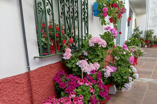 Private half-day tour of Ronda and the White Villages with native - The Sum Up