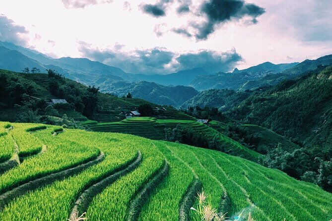 Private Half-Day Tour of Villages, Terrace Rice Fields by Car - Key Points