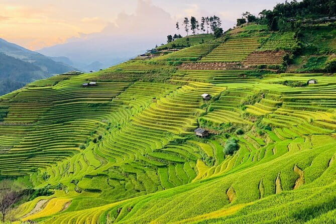 Private Half-Day Tour of Villages, Terrace Rice Fields by Car - What the Tour Includes and Excludes