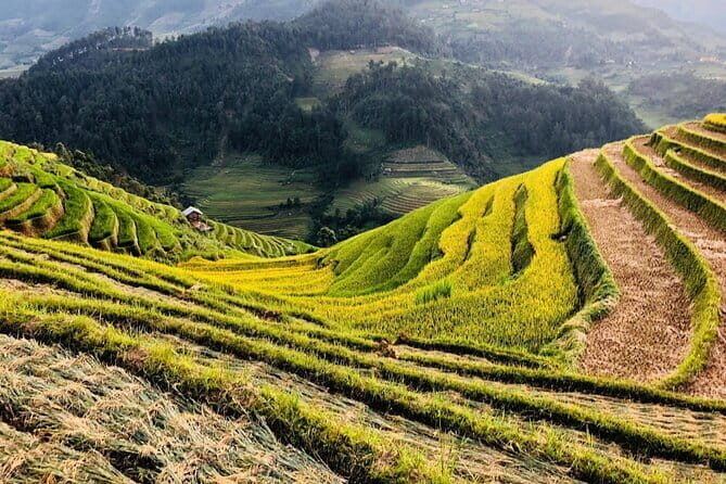 Private Half-Day Tour of Villages, Terrace Rice Fields by Car - Practical Considerations and Tips