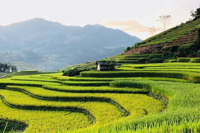 Private Half-Day Tour of Villages, Terrace Rice Fields by Car - Who Will Appreciate This Experience?