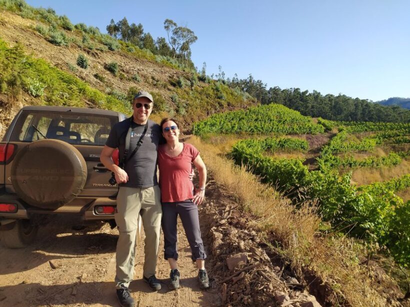 Private Half-Day Tour of Wine Fields - The itinerary: What to expect