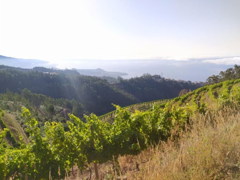 Private Half-Day Tour of Wine Fields - Final thoughts