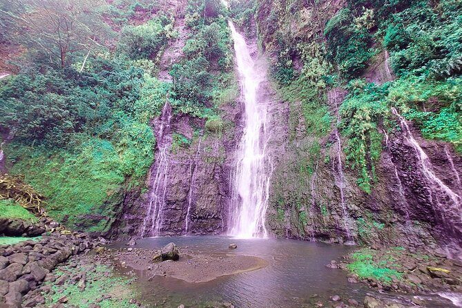 Private Half Day Tour: Papeete and Nature of Tahiti east coast - Key Points