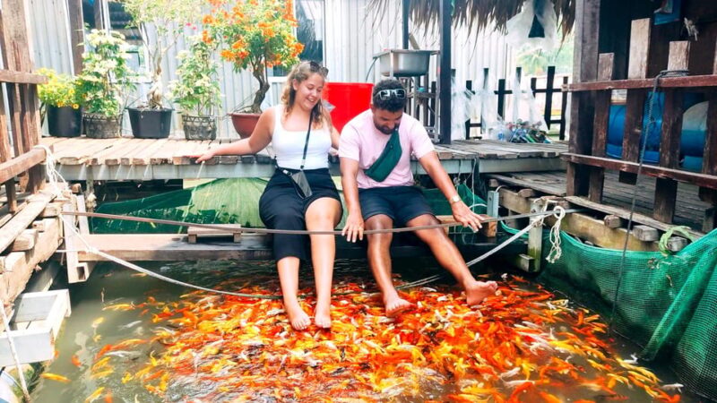 Private Half Day Tour - Sn Islet - The Sum Up: Who Should Consider This Tour?