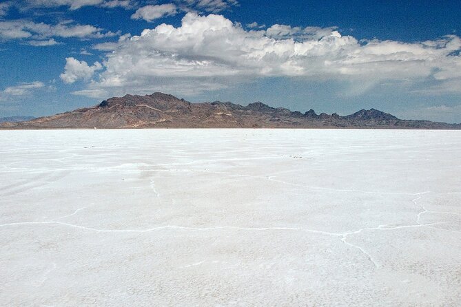 Private Half-Day tour to Bonneville Salt Flats - Authenticity and Reviews: What Travelers Say