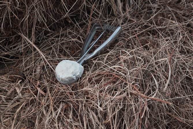 Private Half Day Tour to Parma City of Gastronomy and Perfume - FAQs