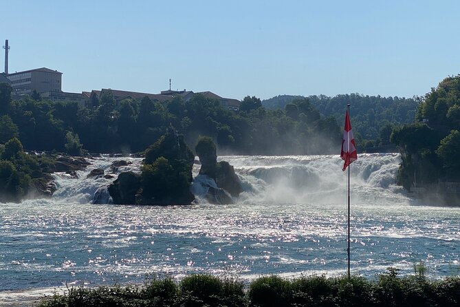 Private Half-Day Tour to the Rhine Falls With Pick-Up at Hotel - Tour Experience