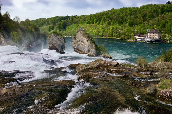 Private Half-Day Tour to the Rhine Falls With Pick-Up at Hotel - Customer Reviews