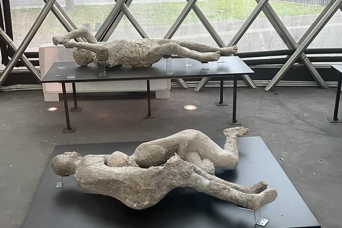 Private Half Day Tour to the Ruins of Pompeii - Final Thoughts