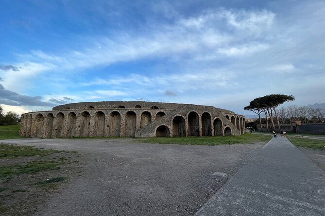 Private Half Day Tour to the Ruins of Pompeii - FAQ