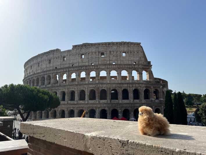 Private Half-day tour to Vatican - A Closer Look at Transportation and Comfort