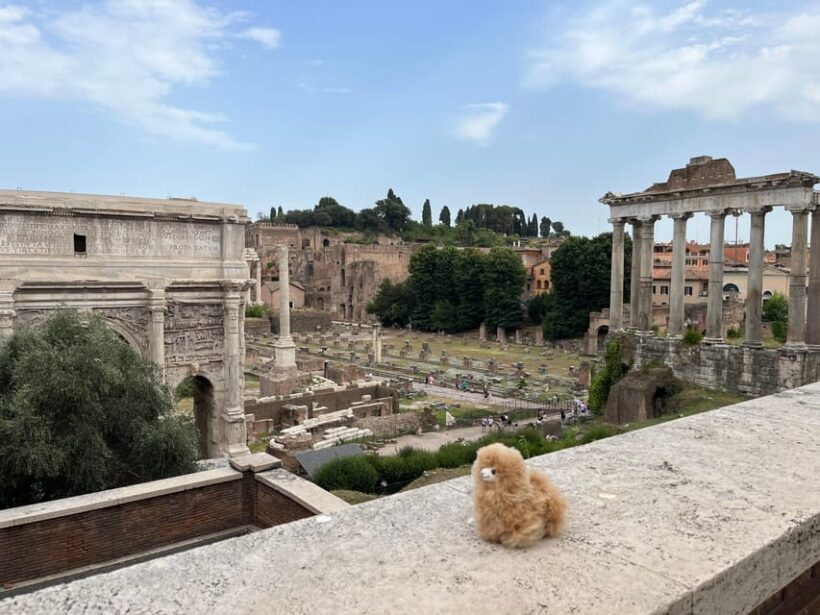 Private Half-day tour to Vatican - Practical Details and Value