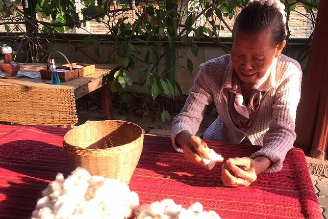 Private Half-Day Tour Ultimate Chiang Mai Countryside - What Travelers Say