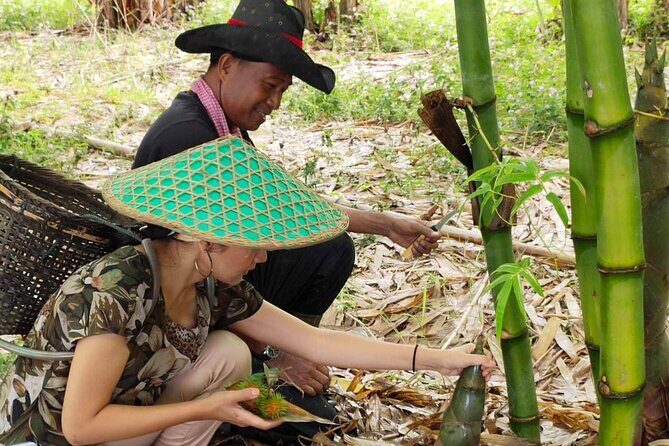 Private Half-Day Tour Ultimate Chiang Mai Countryside - Analyzing the Value
