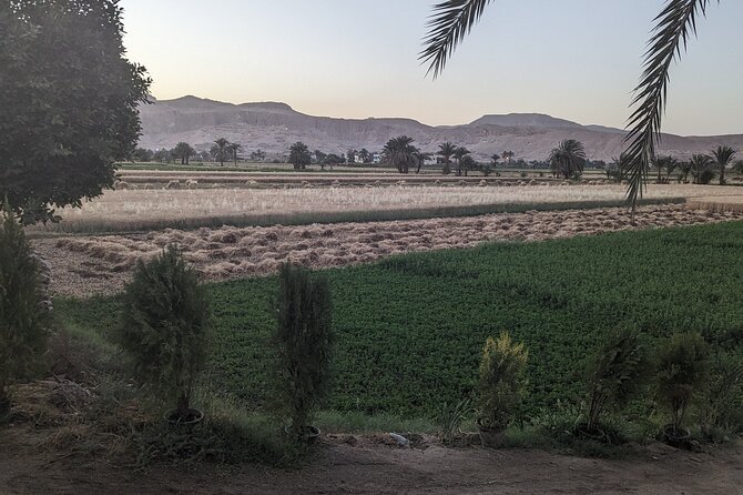 Private Half Day Tour West Bank of the Nile Luxor Egypt - Tour Details