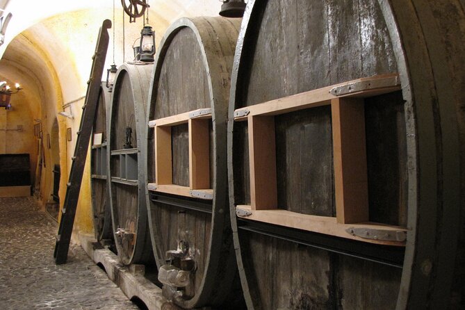 Private Half Day Tour With Wine Tasting in Santorini - Wine Tasting Experience