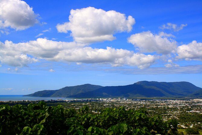 Private Half Day Tour: World Heritage Rainforest & Waterfall - An In-Depth Look at the Tour Experience