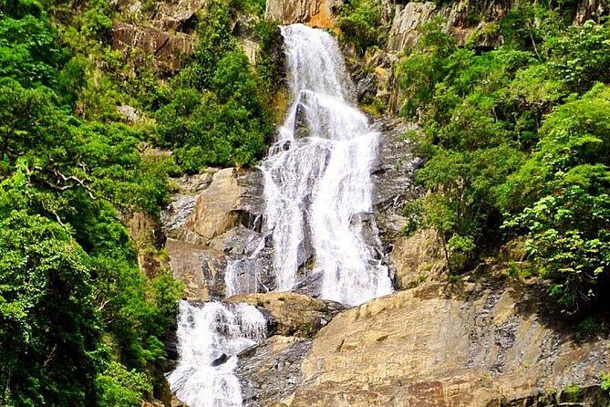 Private Half Day Tour: World Heritage Rainforest & Waterfall - Final Word