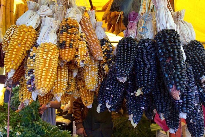 Private Half-Day Traditional Markets Street Food Tour in Mexico City - Practical Tips for Travelers