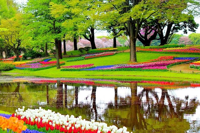 Private Half-Day Trip From Amsterdam to The Tulip Fields in Keukenhof - The Keukenhof Gardens: A Floral Wonderland