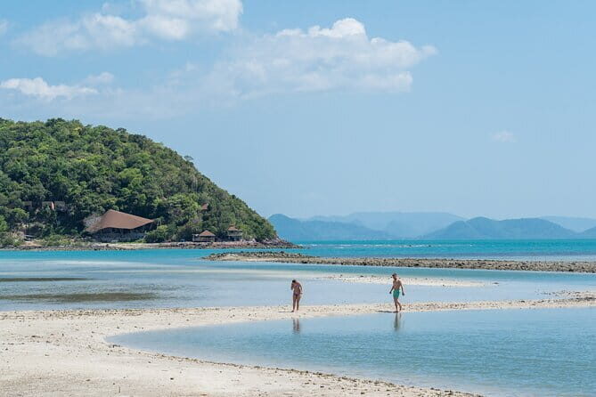 Private Half Day Trip to Pig Island and Koh Tan by Long Tail Boat - What to Expect on the Day