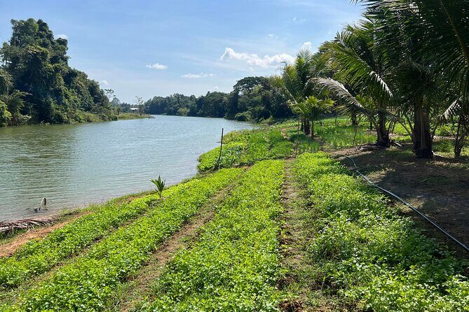 Private Half-Day Tuk Tuk Tour in Battambang - The Sum Up: Is This Tour Worth It?
