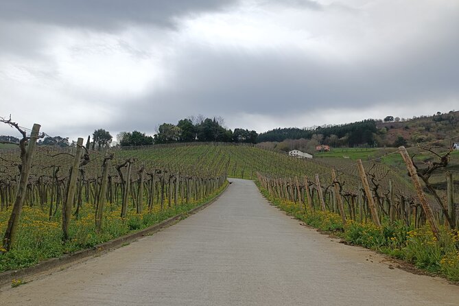 Private Half Day Txakoli Wine Tour & Getaria Fishing Village - Customer Reviews
