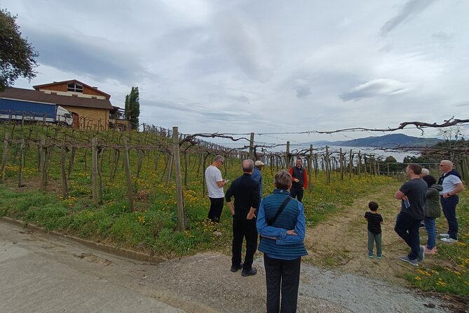 Private Half Day Txakoli Wine Tour & Getaria Fishing Village - Exploring Getaria Fishing Village