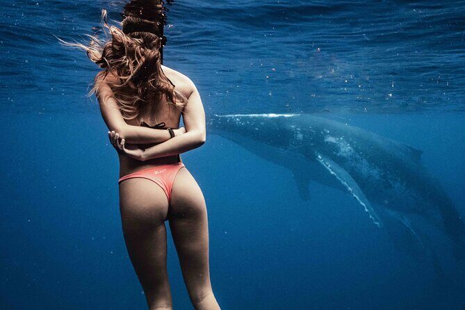 Private Half Day Whale Watching Tour - Why This Whale Watching Tour Stands Out