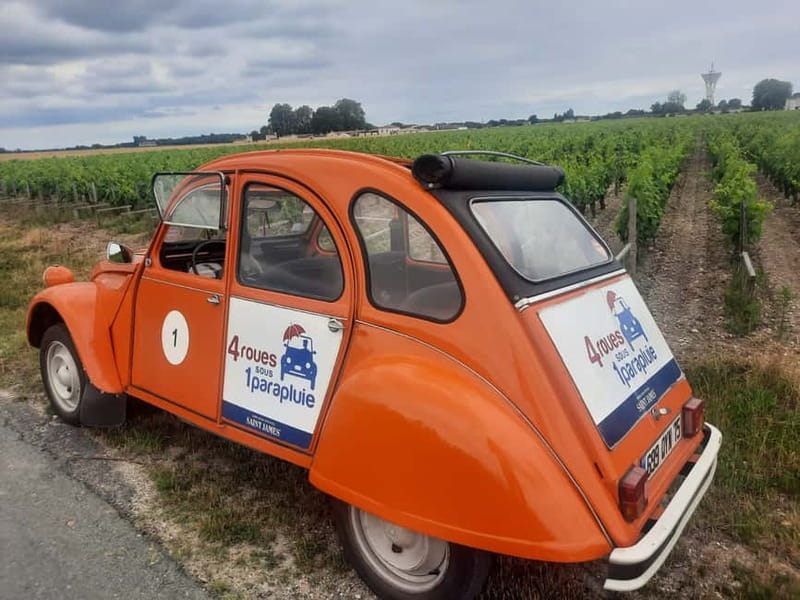 Private Half-Day Wine Tour in Citroën 2CV - The Experience on the Road