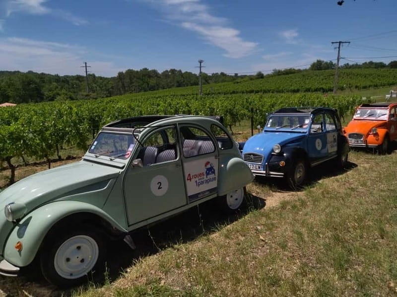 Private Half-Day Wine Tour in Citroën 2CV - Wine Tastings and Visits