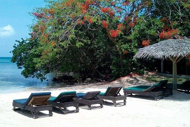 Private Half Moon Beach Tour from Montego Bay - A Closer Look at the Tour Itinerary