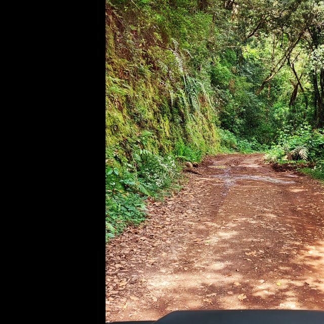 Private halfday & Eucalyptus forest Offroad - Why This Tour Offers Great Value