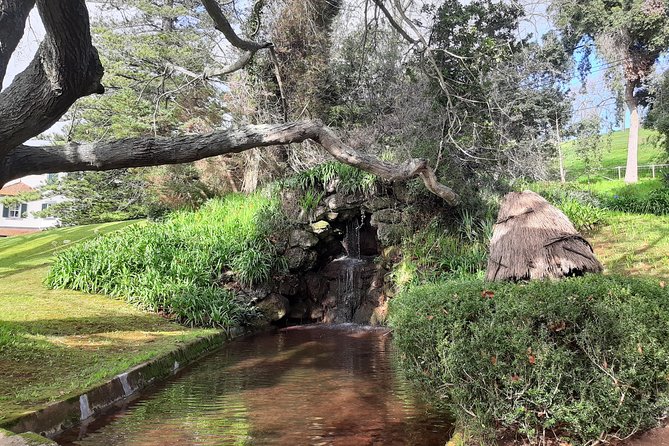 Private Halfday Flower Palheiro Gardens Tour - The Experience in Practice