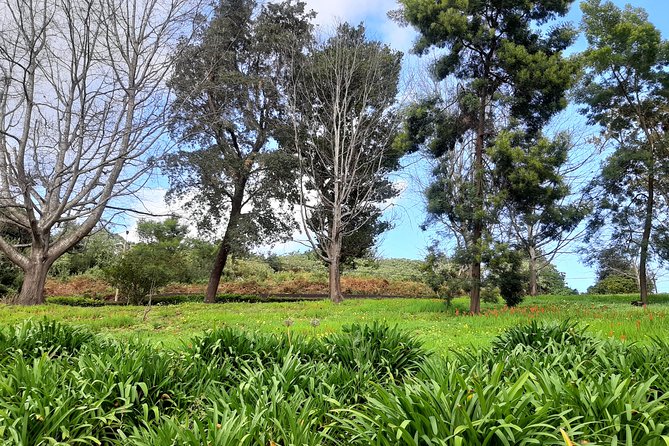 Private Halfday Flower Palheiro Gardens Tour - Price and Value
