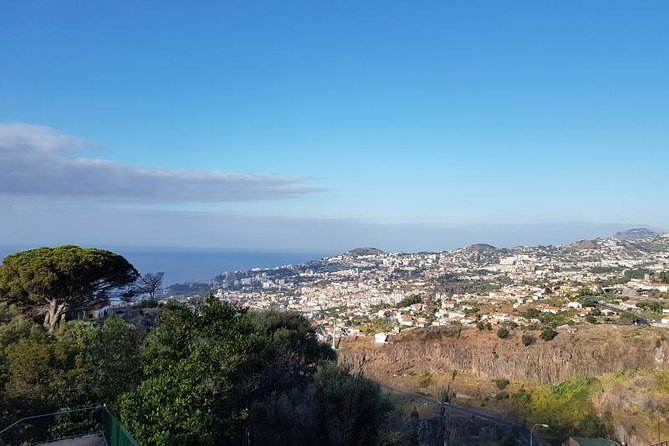 Private Halfday Madeira Garden Tour - Accessibility and Policies