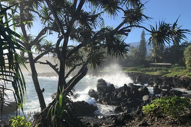 Private Halfway to Hana Tour - The Plan and Its Benefits