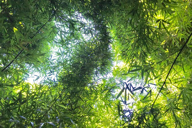 Private Halfway to Hana Tour - Quality of the Experience and What Travelers Say