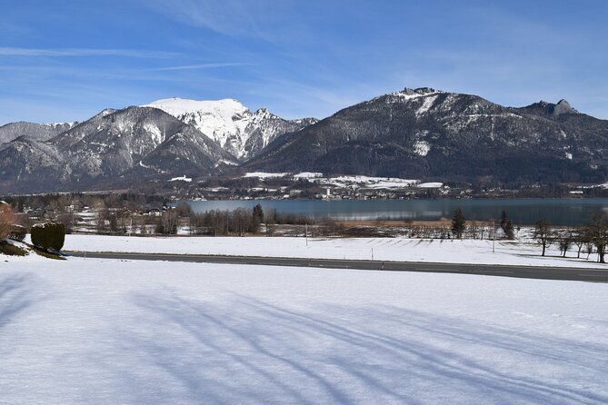 Private Hallstatt Tour with tour end in Vienna - Key Points