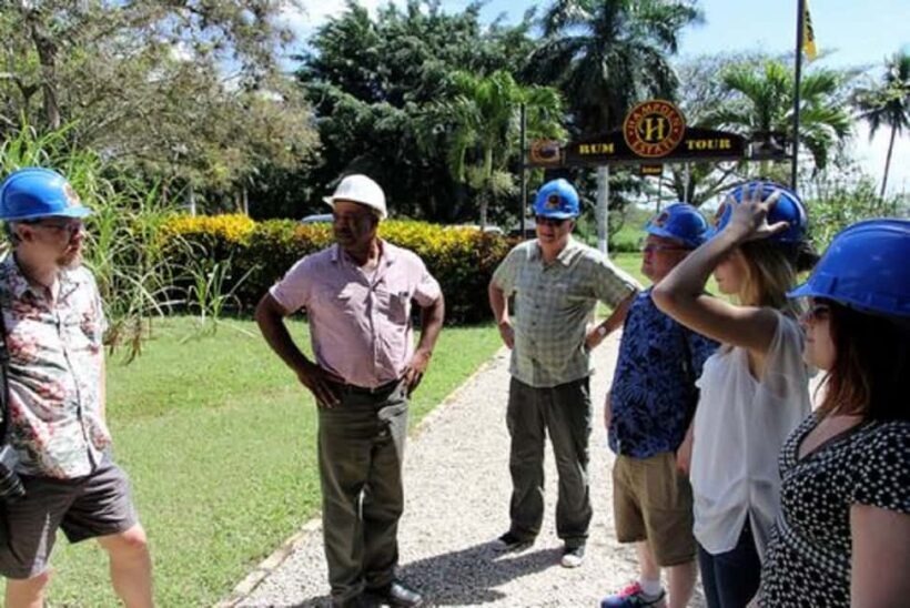 Private Hampden Estate Rum Trip from Montego Bay - Exploring Hampden Estate: An Authentic Jamaican Rum Experience